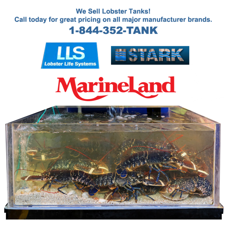 Lobster Tanks – Crystal Clear Aquarium Service – Lobster Tank Service ...